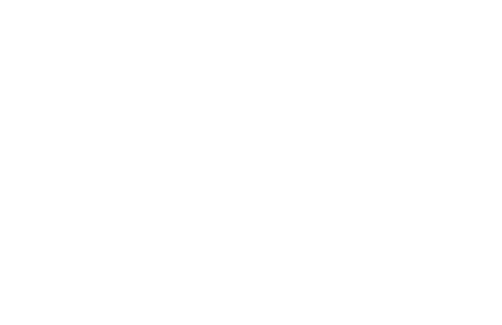 voor Vandaag - Nicollo